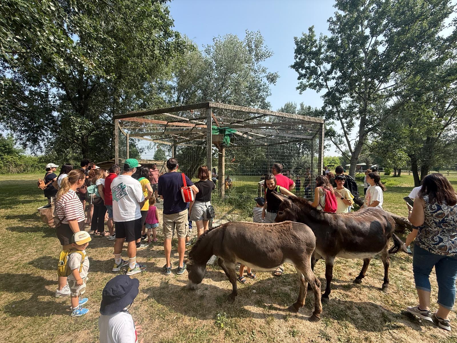Michigan Ranch: natura, animali e relax nel cuore della campagna ...