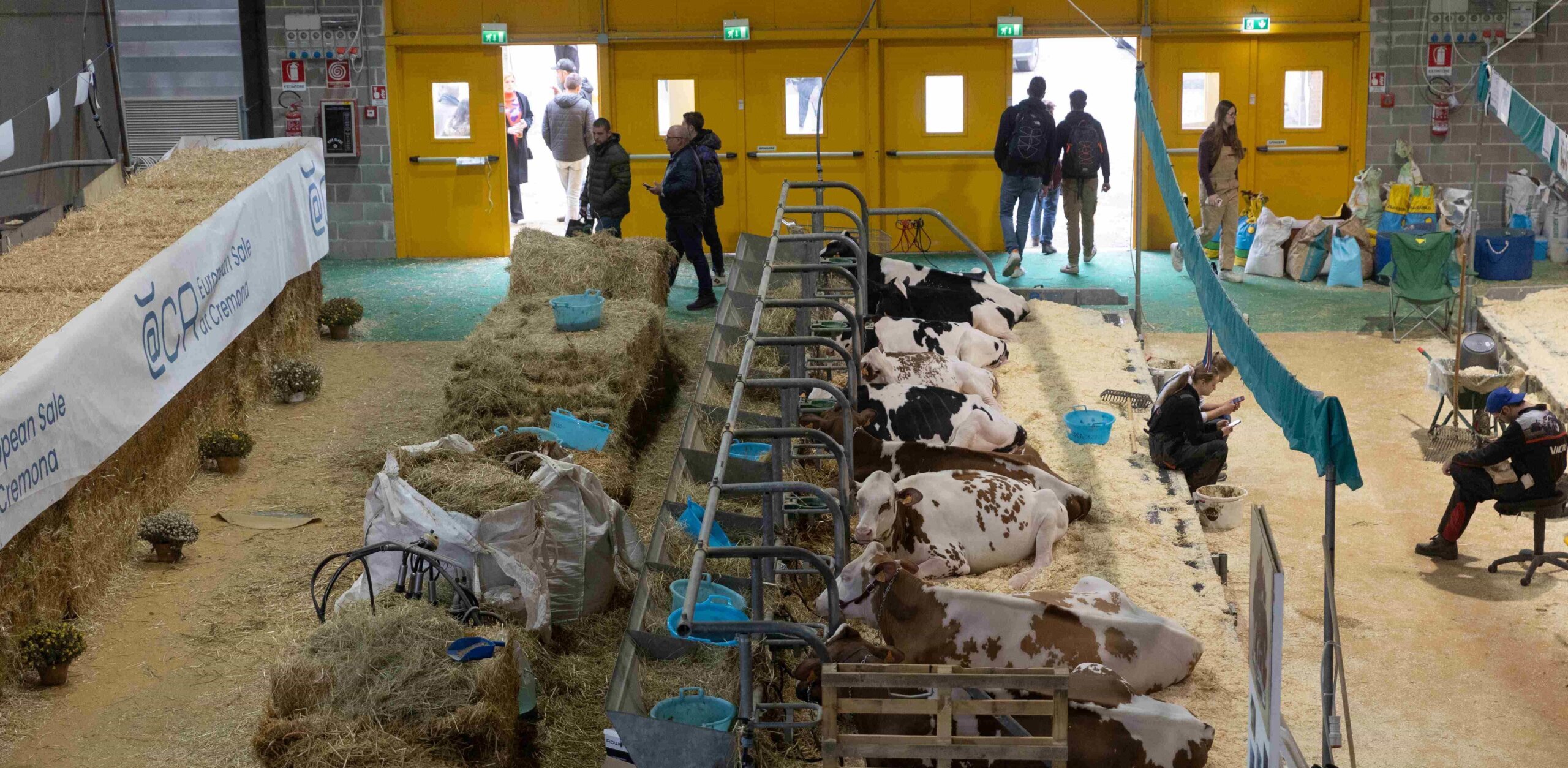 Fiere Zootecniche Internazionali, in città arriva Cremona Farm Square ...