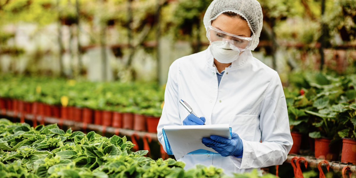 ZIS Agroalimentare, presentata la candidatura: unisce quattro province ...